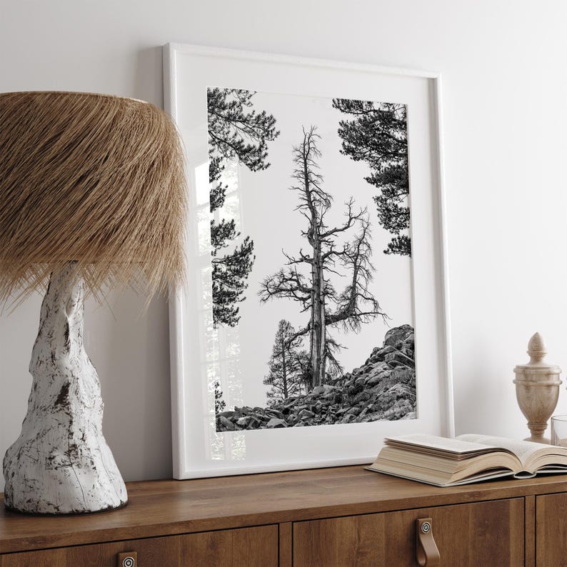 Black and White Tree Print, Neutral Forest Wall Art, Scandinavian Black ...