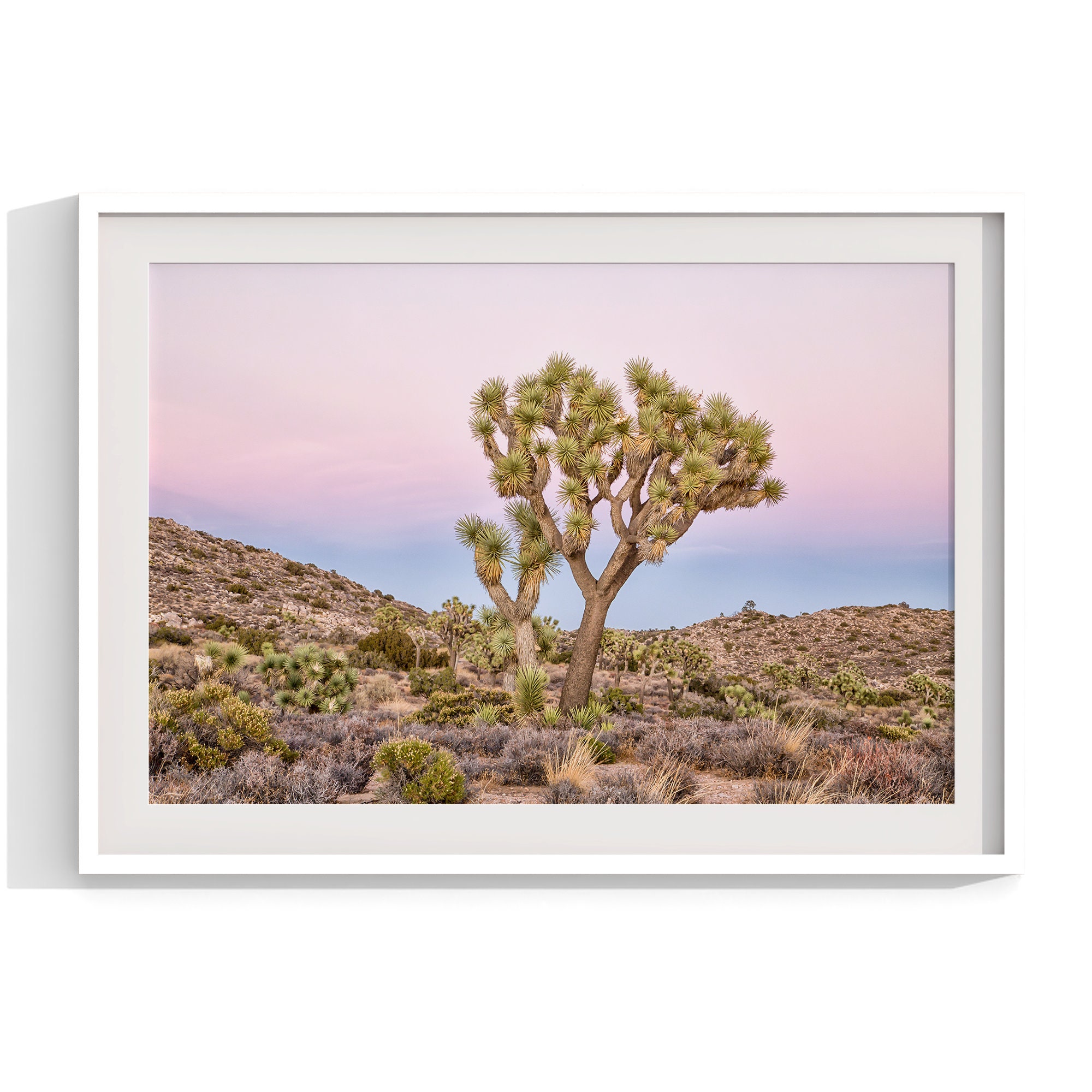Joshua Tree Pink Sunset Fine Art Print Colorful Wall Art - Etsy