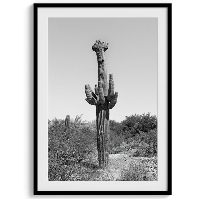 Arizona Desert Set of 3 Fine Art Prints - Saguaro Cactus 3 Piece Wall ...