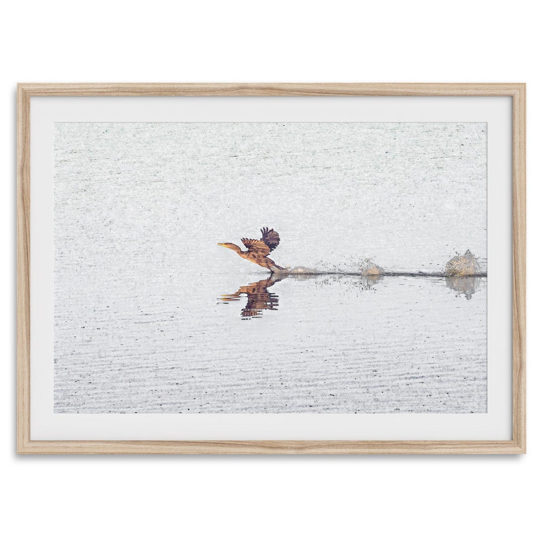 Fine Art Bird Fly Photography Print - Large Minimalist Bird Wall Art ...