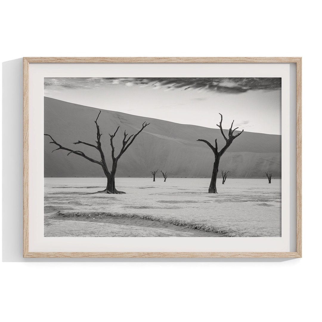 Namibia Black and White Trees Photography Print - Skeleton Trees With ...