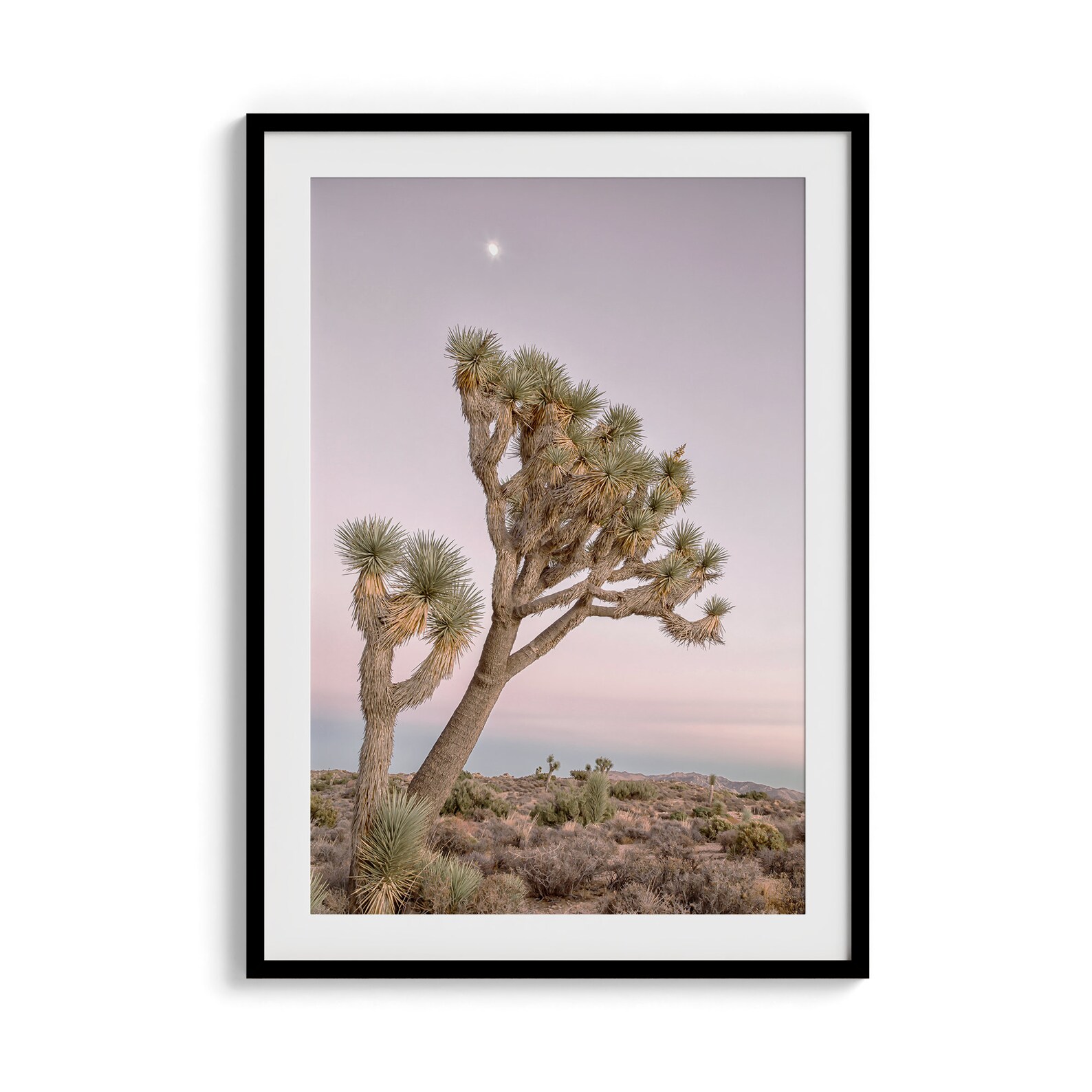 Joshua Tree Pink Sky Sunset With Moon Print Desert Sunset - Etsy