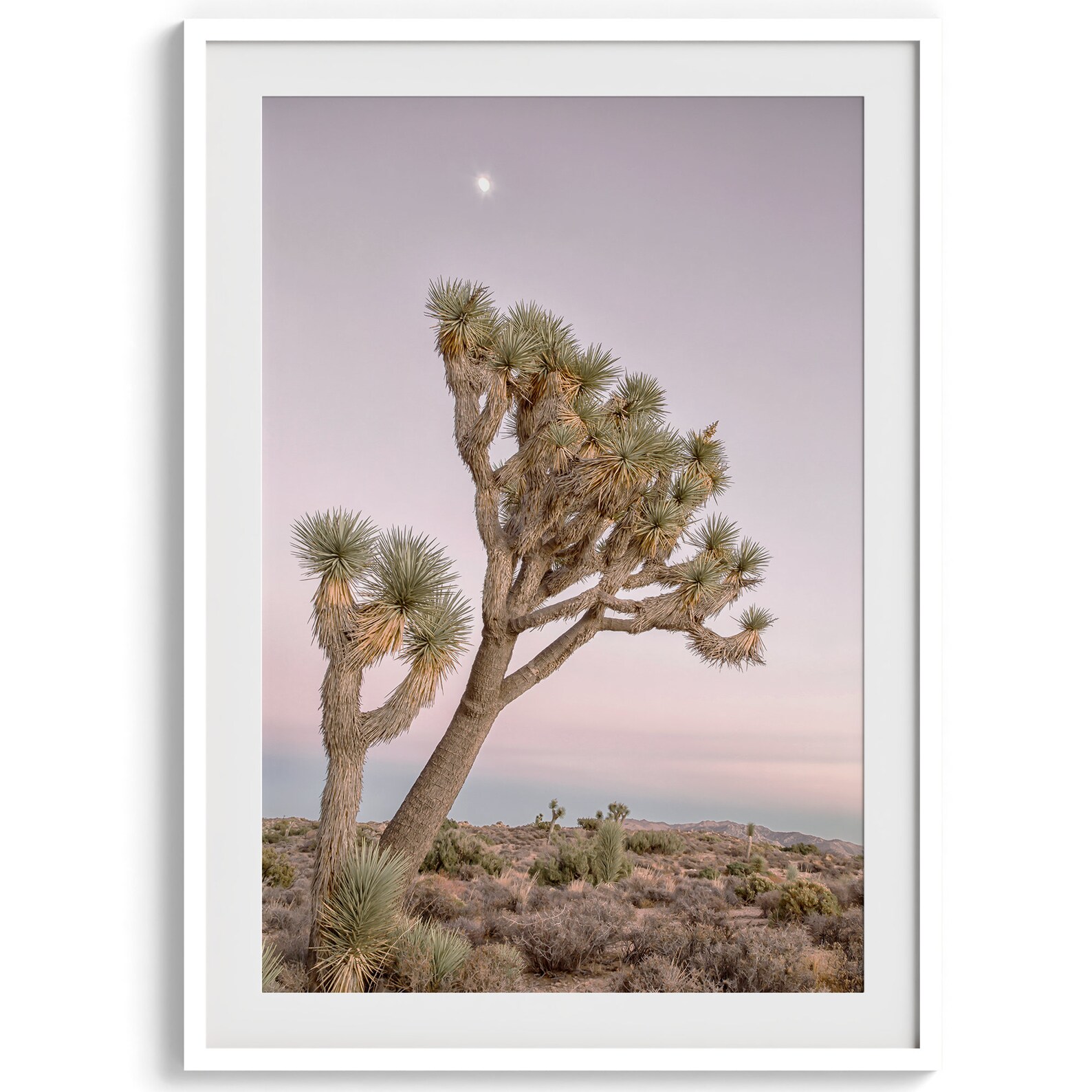 Joshua Tree Pink Sky Sunset With Moon Print Extra Large Desert Sunset ...