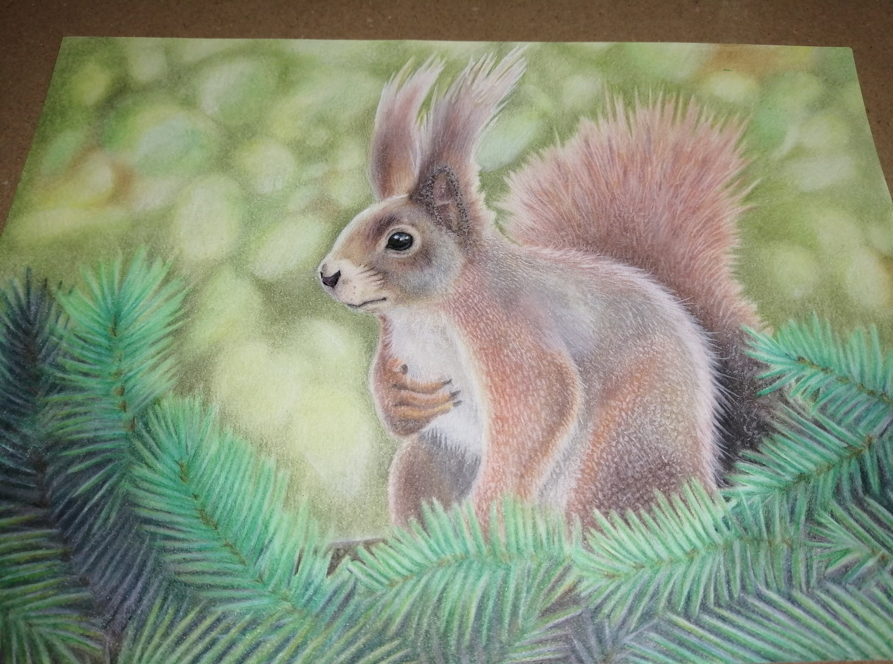 Squirrel Colour Pencil Drawing - Etsy