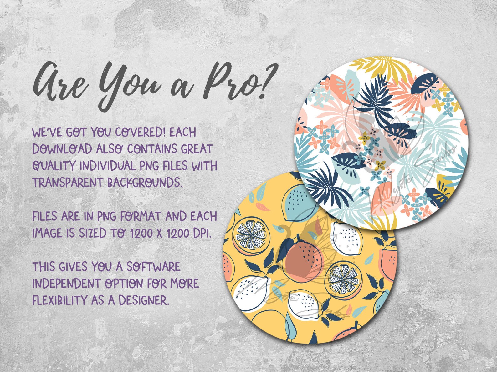 Cow Car Coaster Png Bundle, Heifer Theme Coaster Designs, Farmer ...