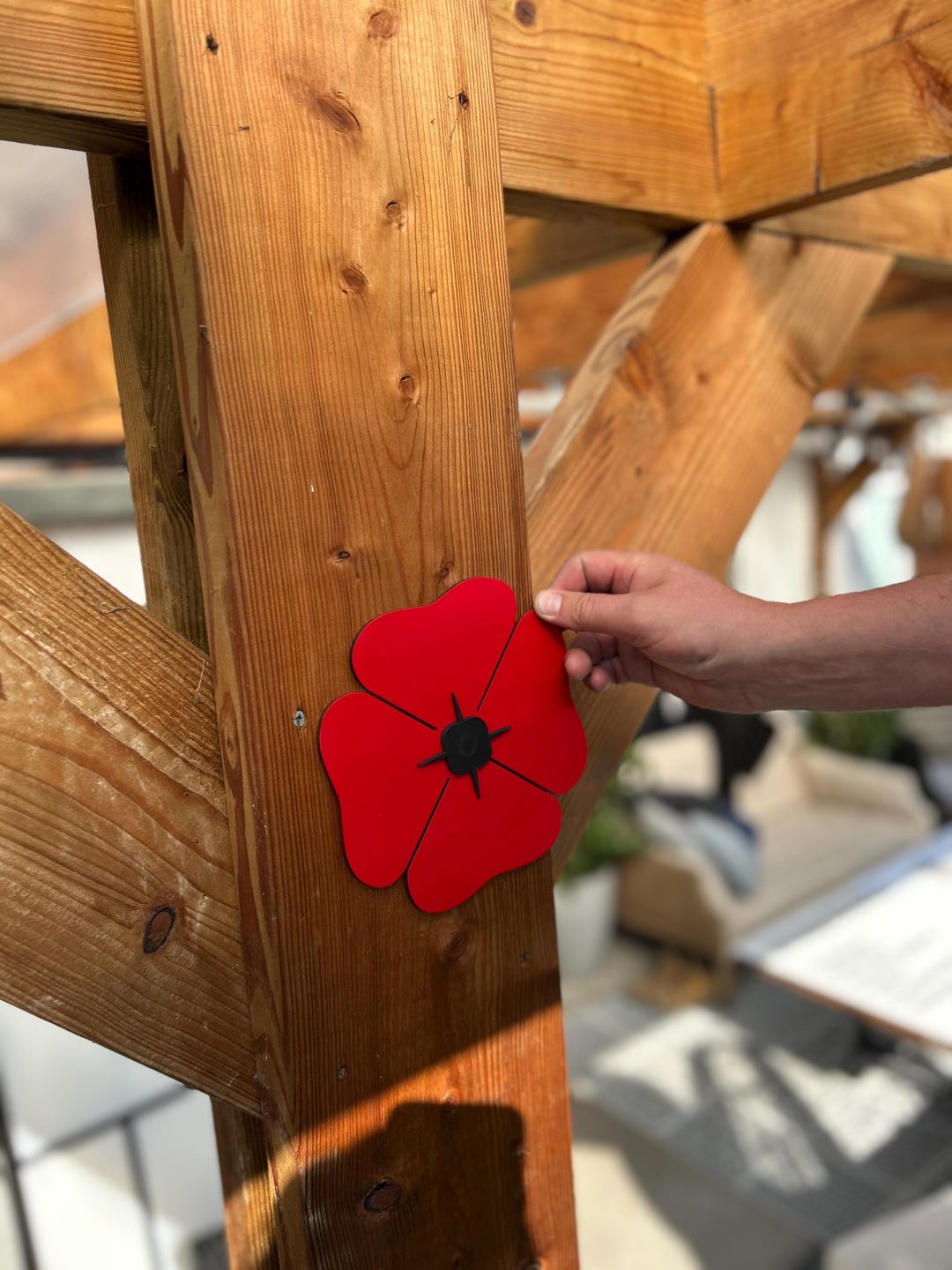 Poppy, 3D Poppy Set of 7, VE Day Poppy Decorations, Remembrance Poppy ...