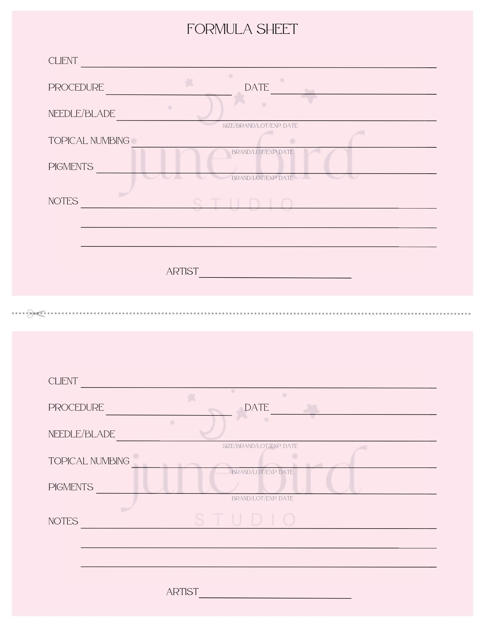 PMU Client Formula Sheet Record PDF Download - Etsy