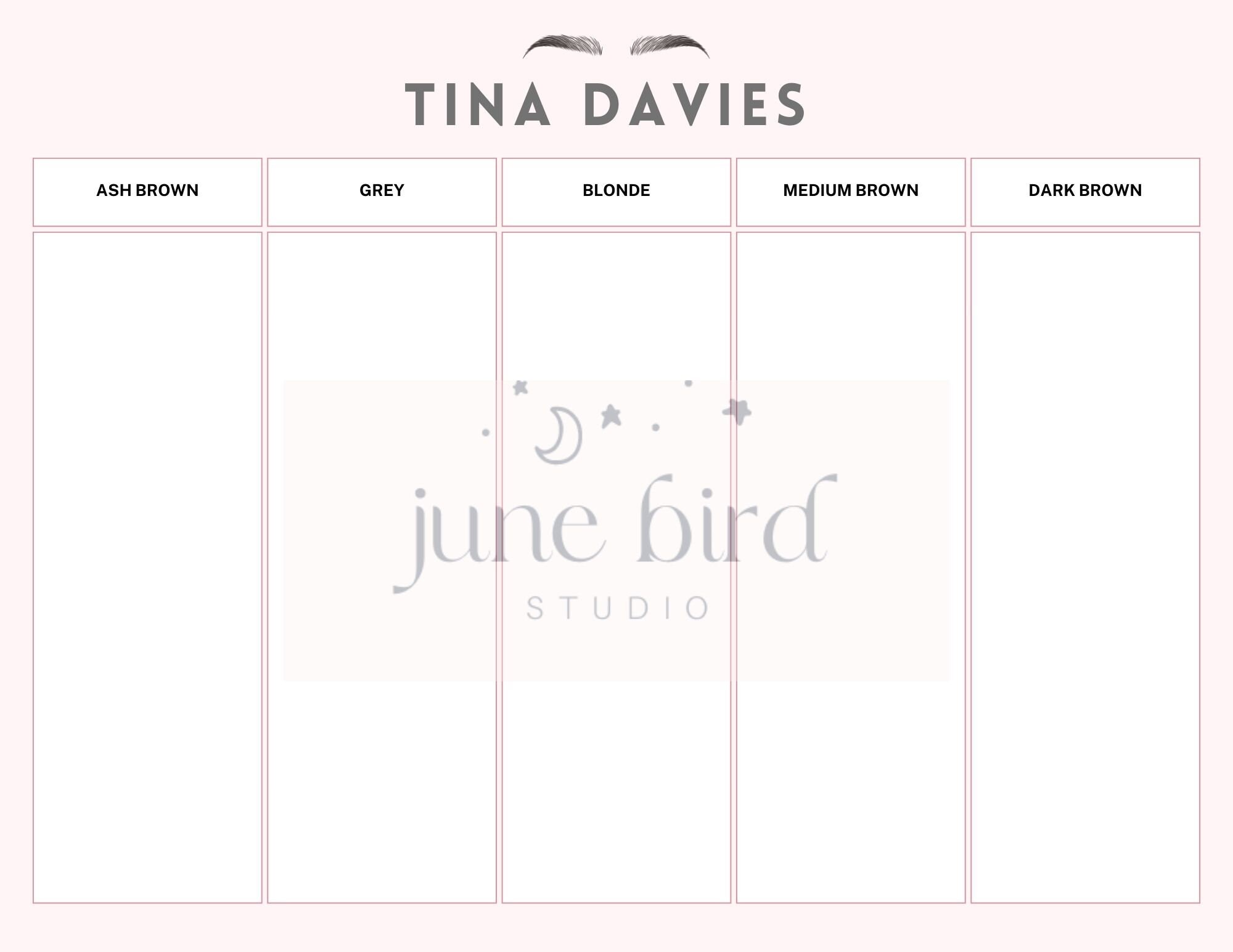 PMU Pigment Swatch Chart for TINA I