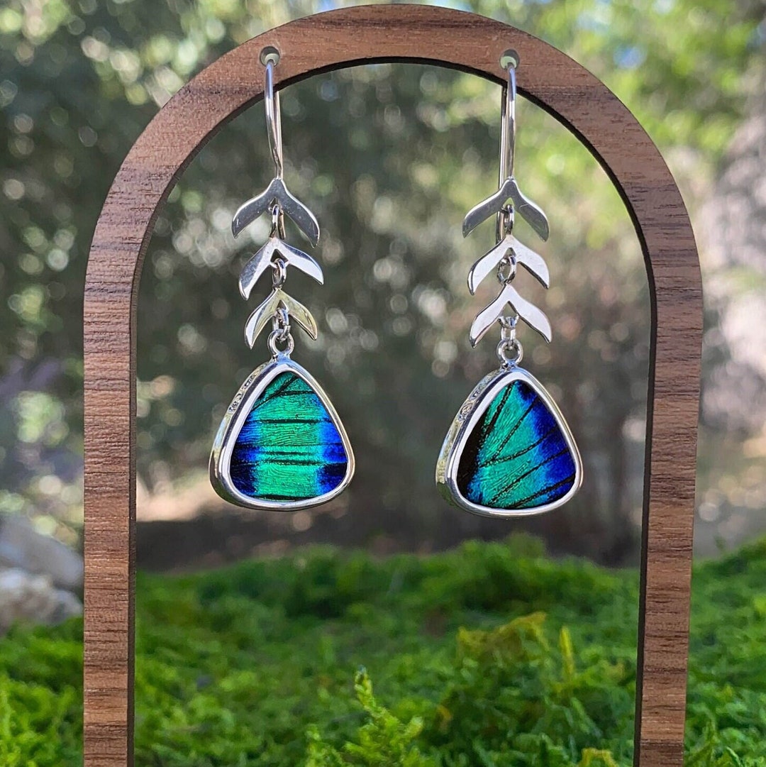 Prepona Butterfly Wing Triangle Pendant on Sterling Silver Leaves ...