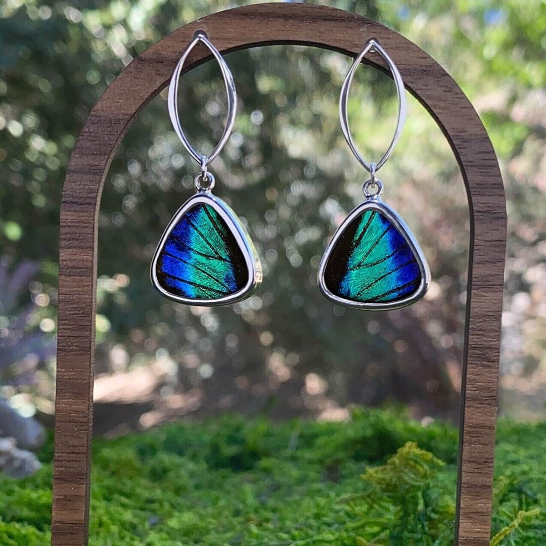 Statement Genuine Butterfly Wing Earrings Green Blue Prepona Triangle ...