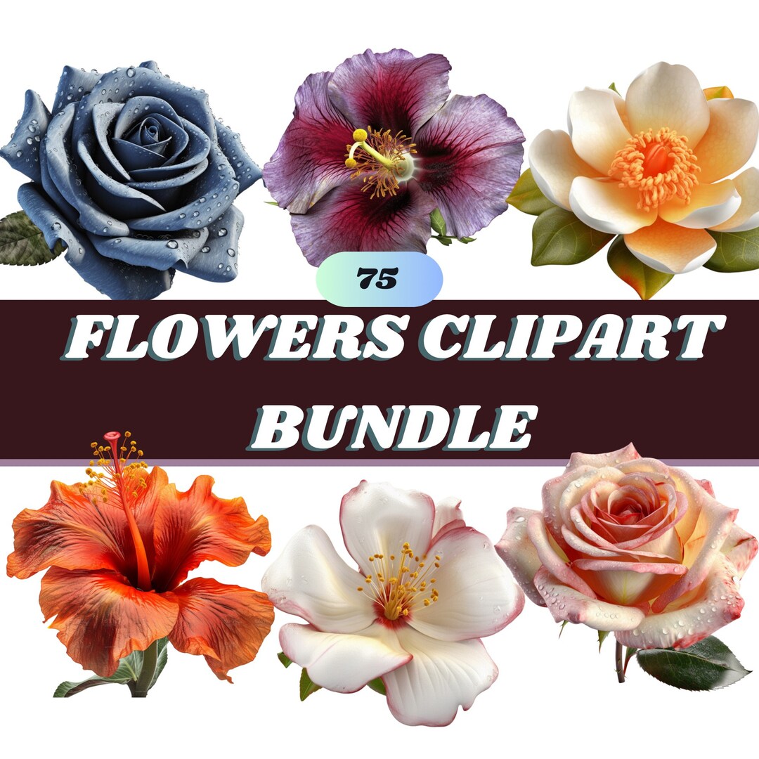 Flower Clipart Bundle, Flowers PNG, Clipart Bundle, Clipart for Arts ...