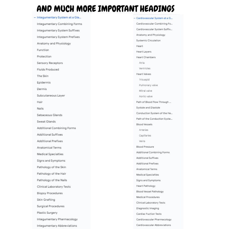Medical Terminology Notes | 7 Chapters | Organized Printable Cheat ...