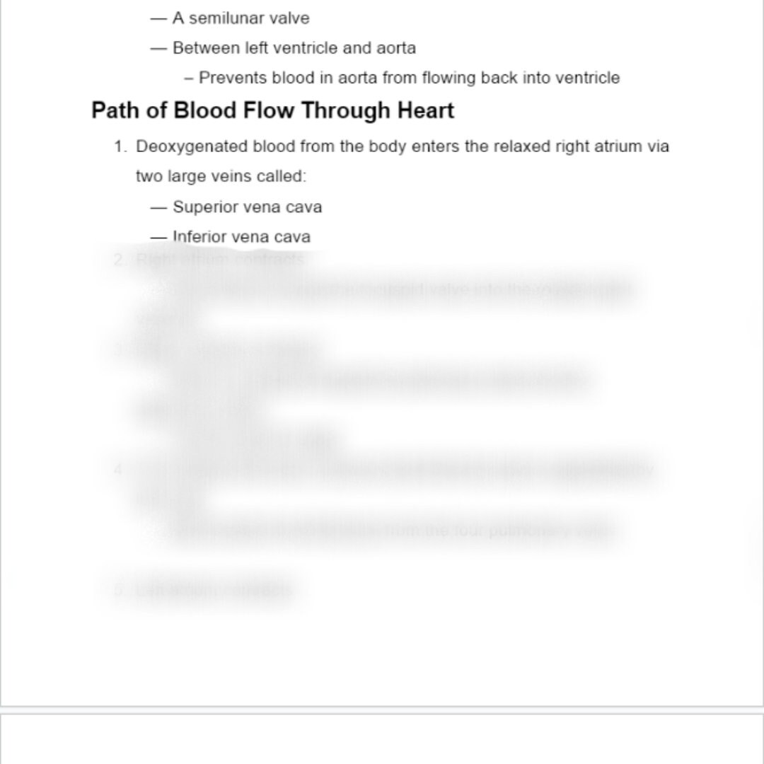Medical Terminology Notes | 7 Chapters | Organized Printable Cheat ...