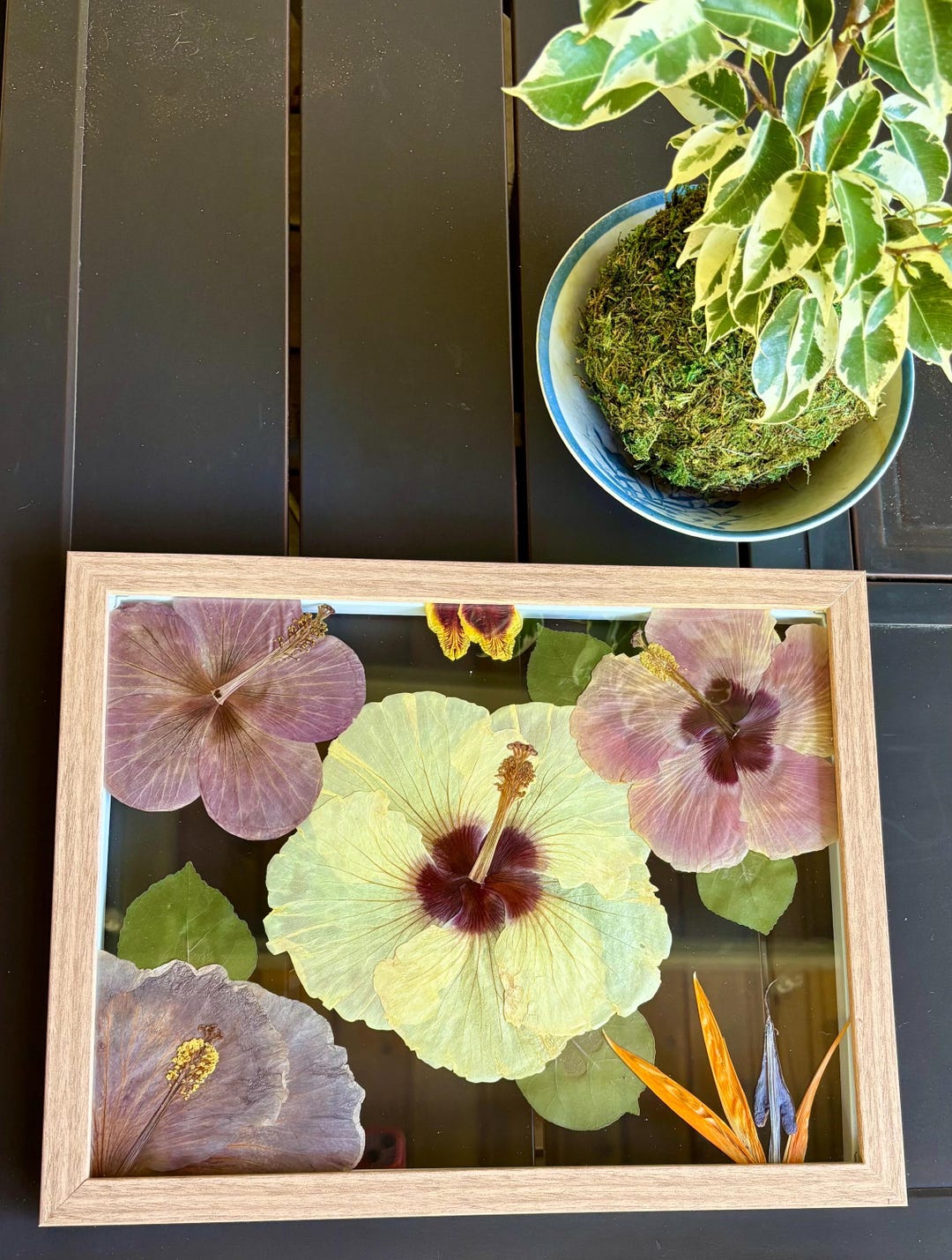 Pressed Hibiscus Flower Art, Bird of Paradise, Honolulu Grown, 12x15 ...