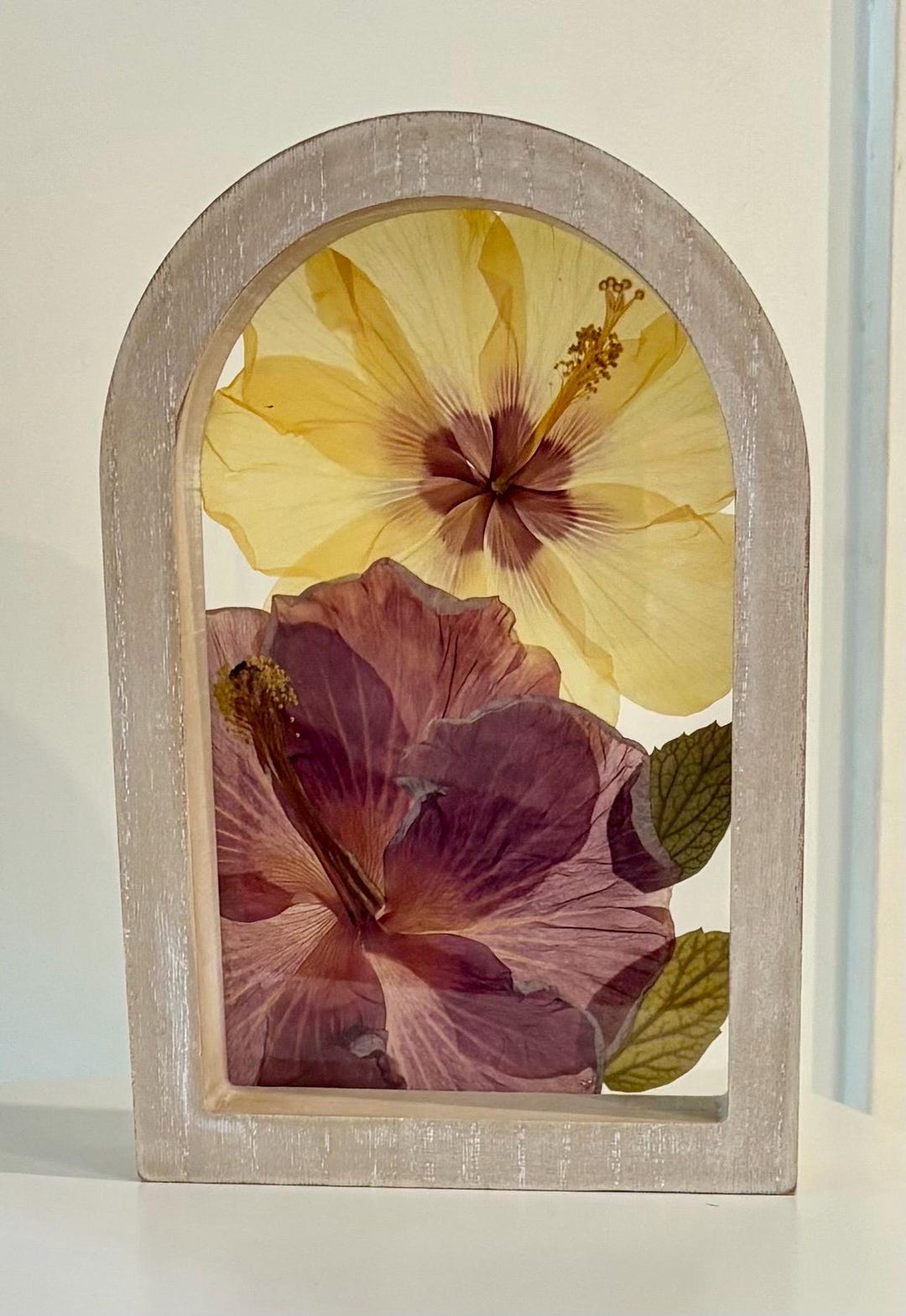 Pressed Hibiscus Flower in Beautiful Natural Arch Frame - Etsy
