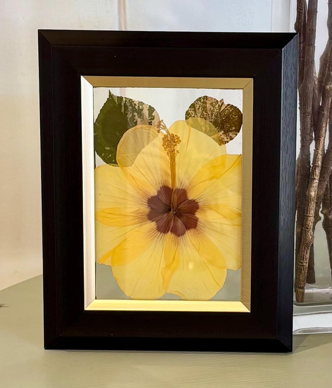 Pressed Hibiscus Flower in Black Wood Frame - Honolulu Art - Etsy