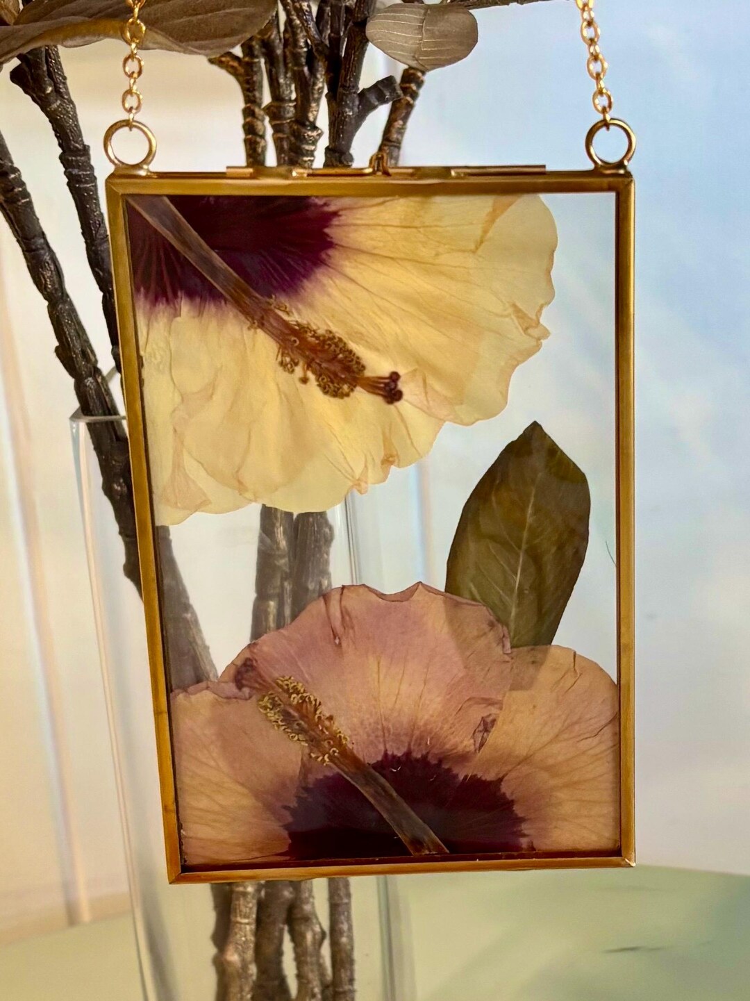 Framed Pressed Hibiscus Flower Art, Gold Frame, Hawaiian Grown - Etsy