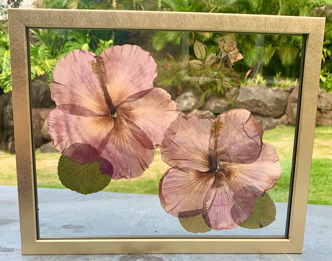 Pressed Hibiscus - Etsy