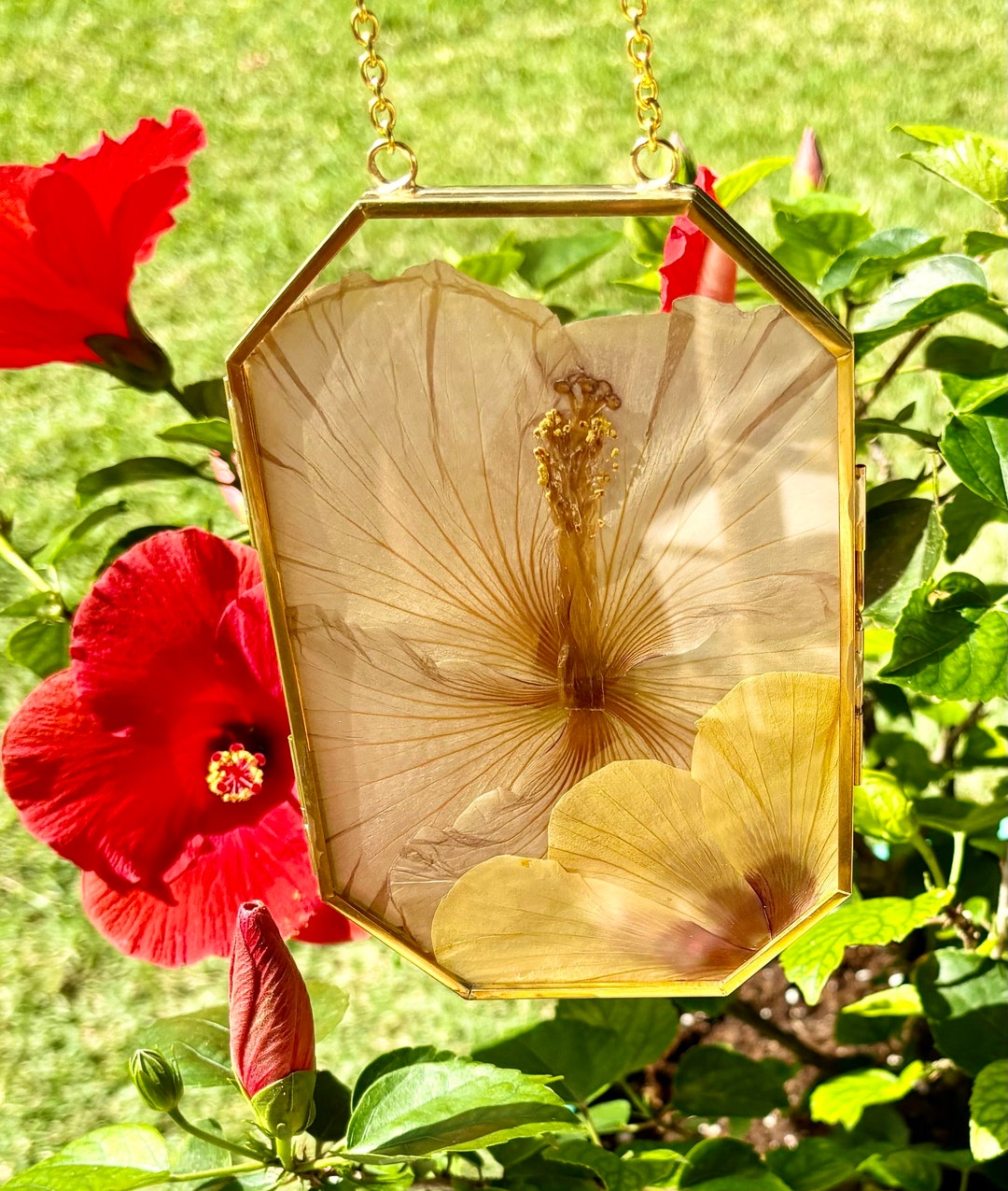 Pressed Hibiscus - Etsy