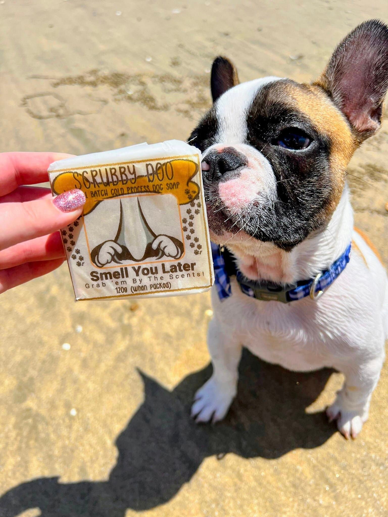 Scrubby-do Dog Soap Cold Process All Natural - Etsy