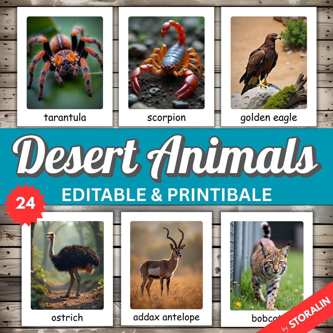 Desert Animals Montessori Cards | 24 Editable Flashcards for Kids ...