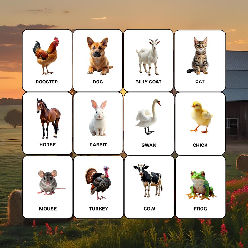 Farm Animal Flash Cards Printable • 22 Realistic Montessori Cards ...