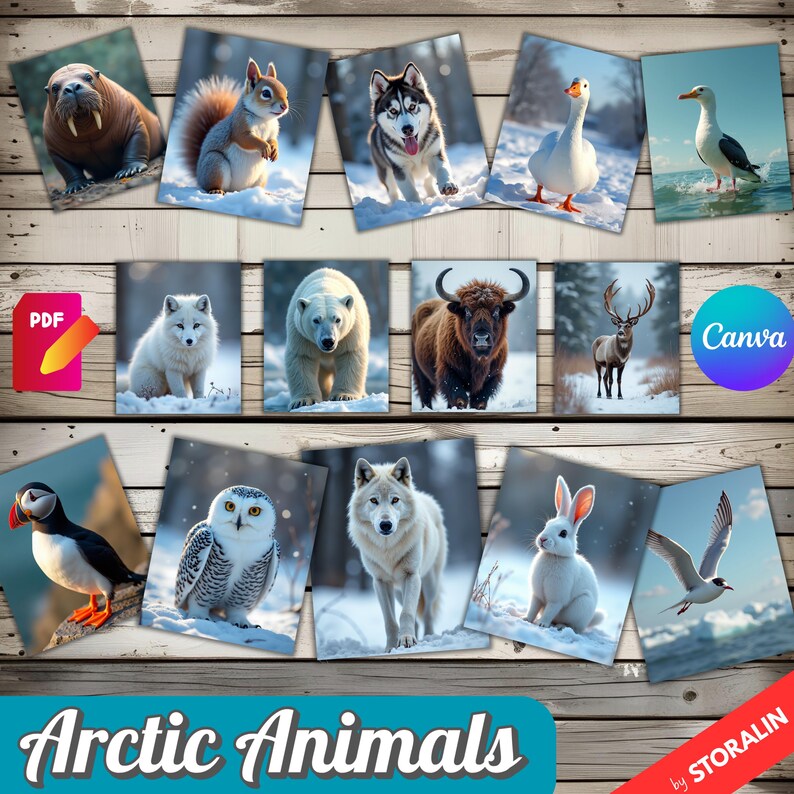 Arctic Animal Flashcards ,editable Montessori Flashcards • 20 Realistic ...