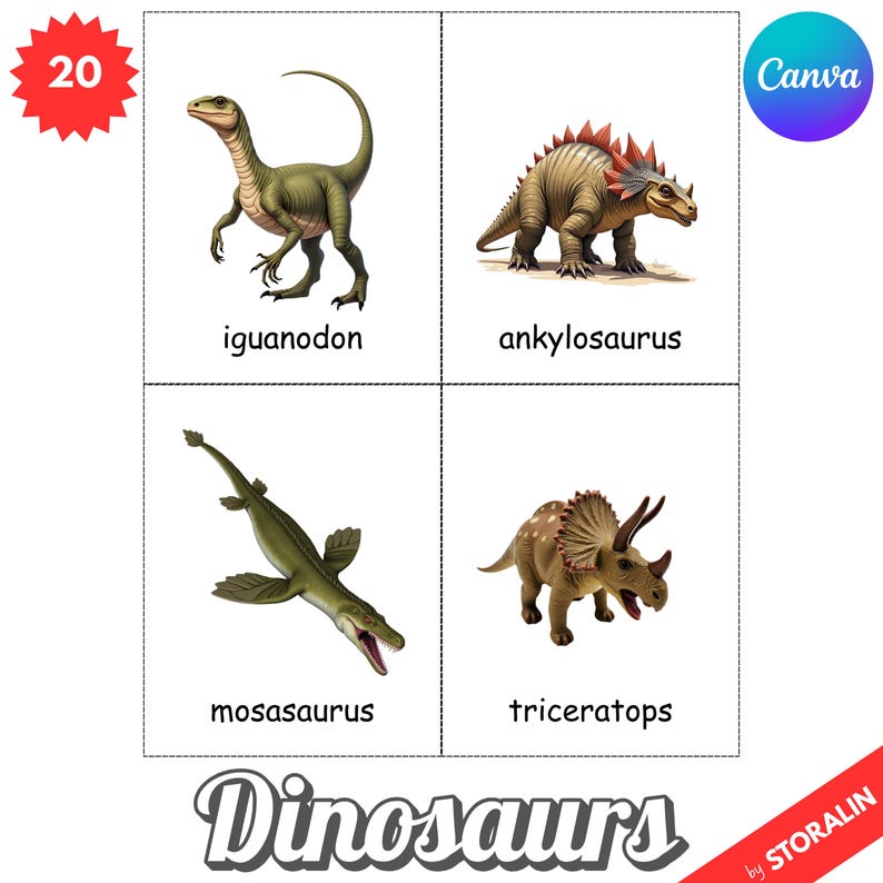 Dinosaurs Montessori Flashcards | 20 Editable Prehistoric Cards for ...
