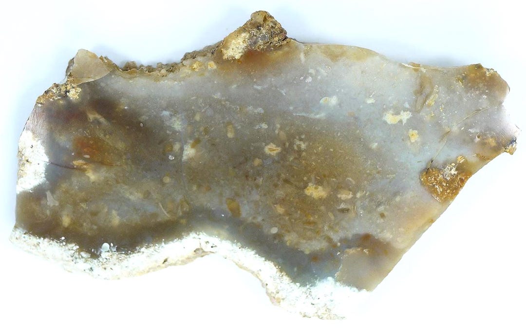 Polished Savannah River Agate Slab From Burke County, Georgia - Etsy