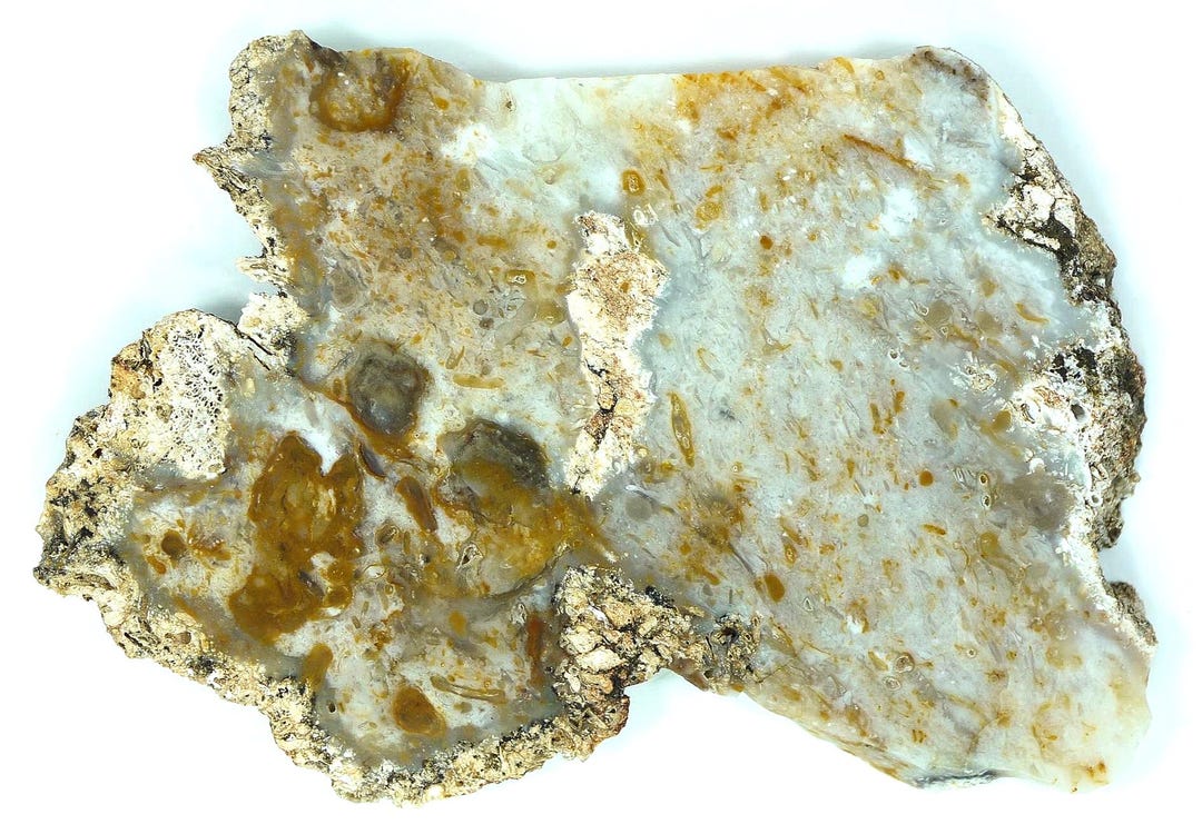 Savannah River Agate Polished Slab From Burke County, Georgia - Etsy