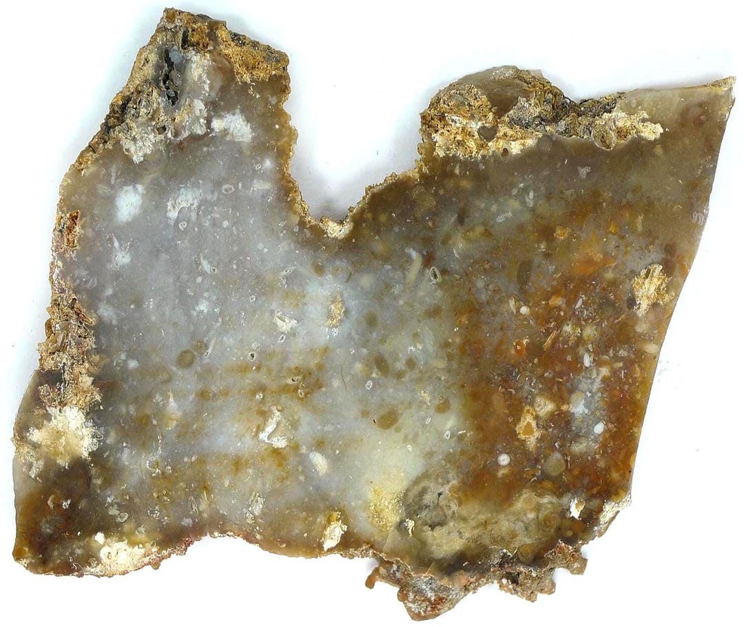 Polished Savannah River Agate Slab From Burke County, Georgia - Etsy