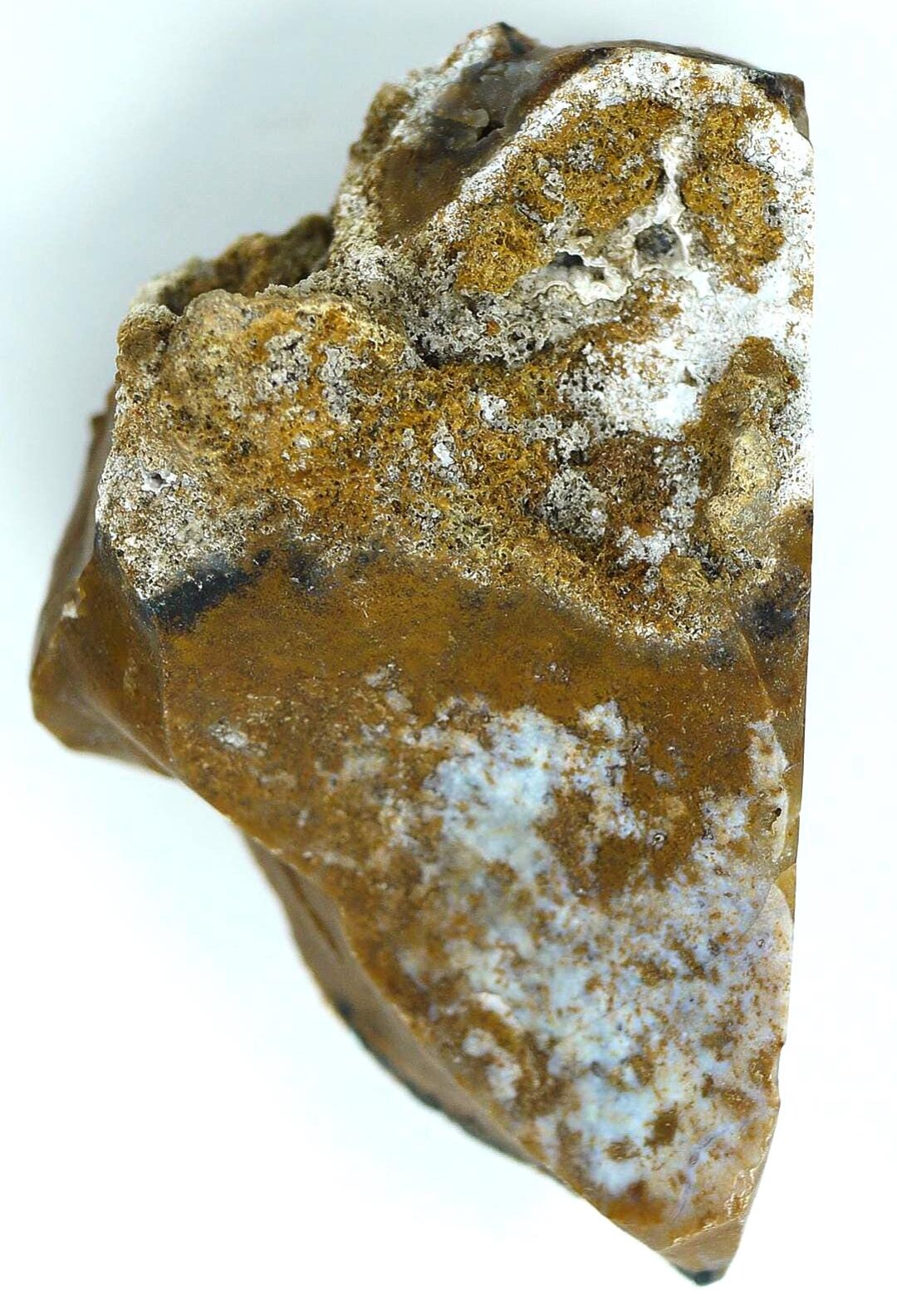 Polished Savannah River Agate Specimen From Burke County, Georgia - Etsy