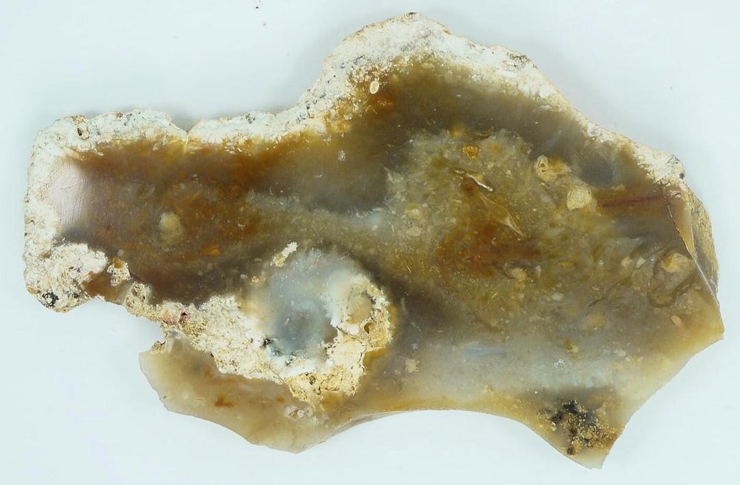 Polished Savannah River Agate Slab From Burke County, Georgia - Etsy