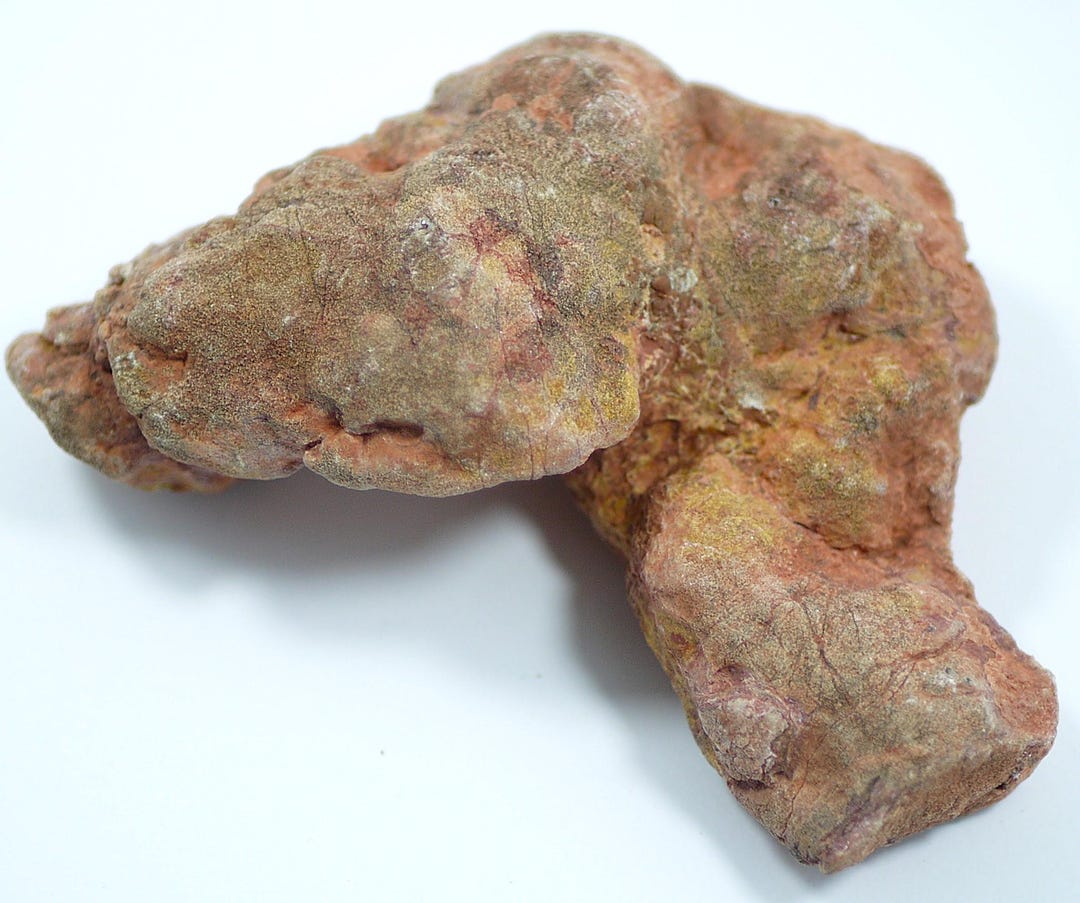 Coprolite/fossilized Dinosaur Dung Trace Fossil Specimen From Fremont ...