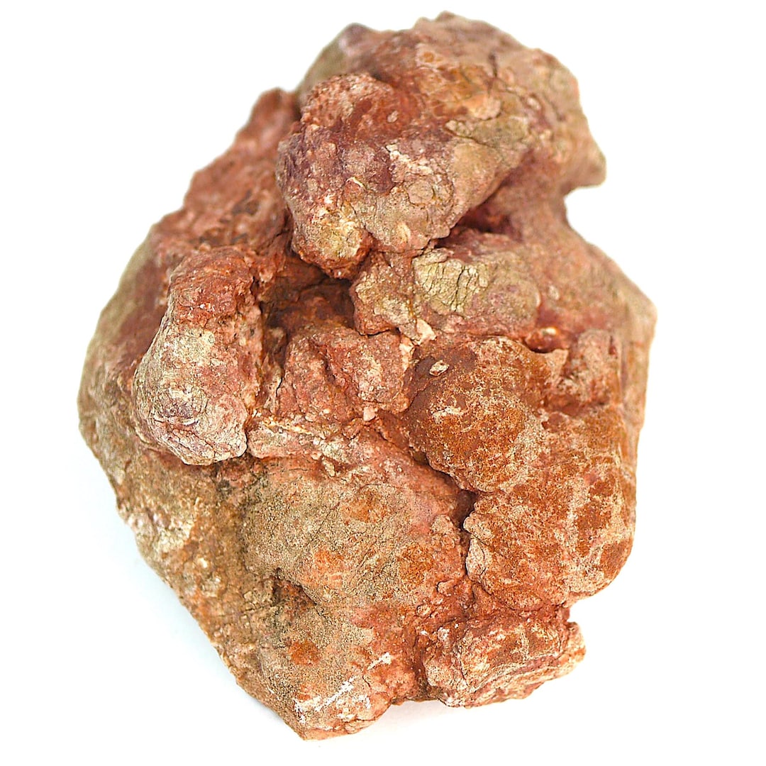 Fossilized Dinosaur Poo / Coprolite From Fremont County, Colorado - Etsy