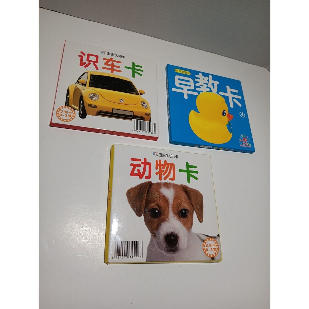 Lot of 3 Learn to Speak Chinese Picture Flashcards in Box Kids - Etsy