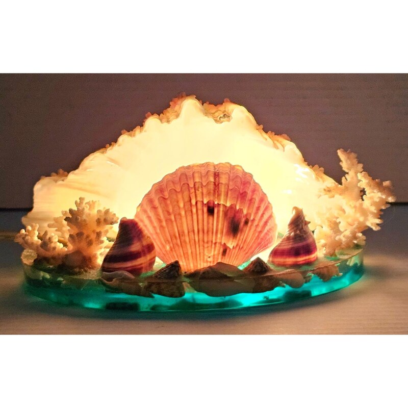 Seashell Night Light - Etsy