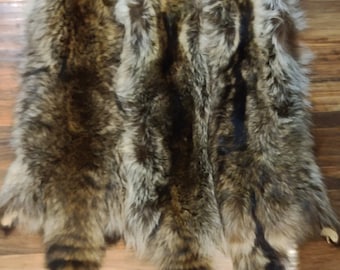 PROFESSIONALLY SOFT Tanned MUSKRAT Pelts/hides - Etsy