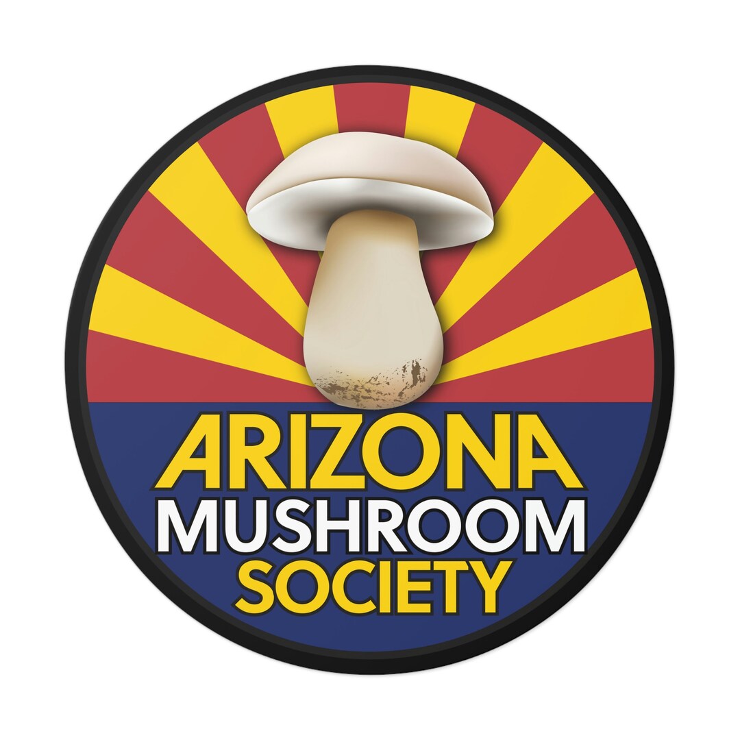 AMS Logo Round Vinyl Stickers - Etsy