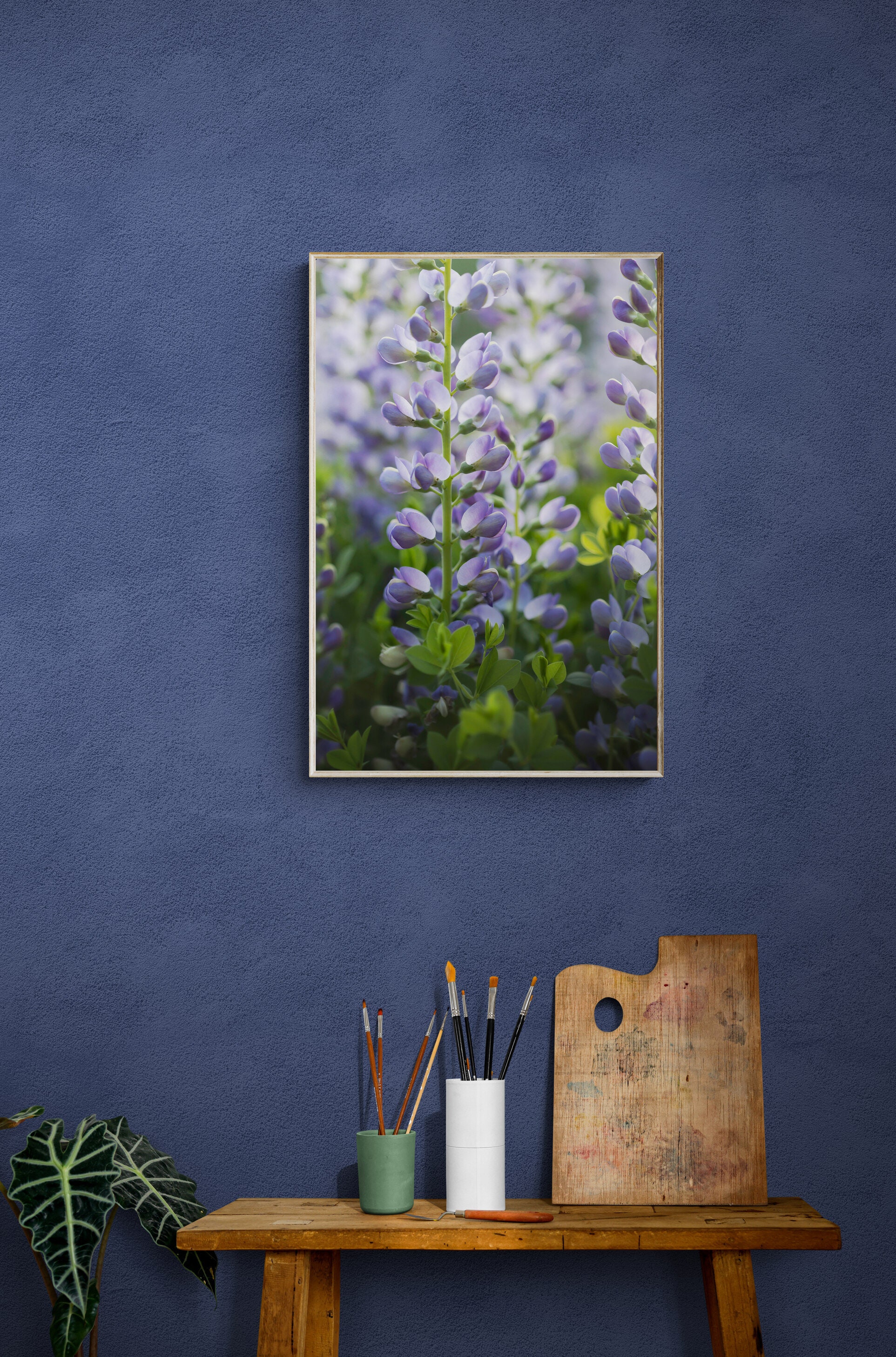 Blue False Indigo - Etsy