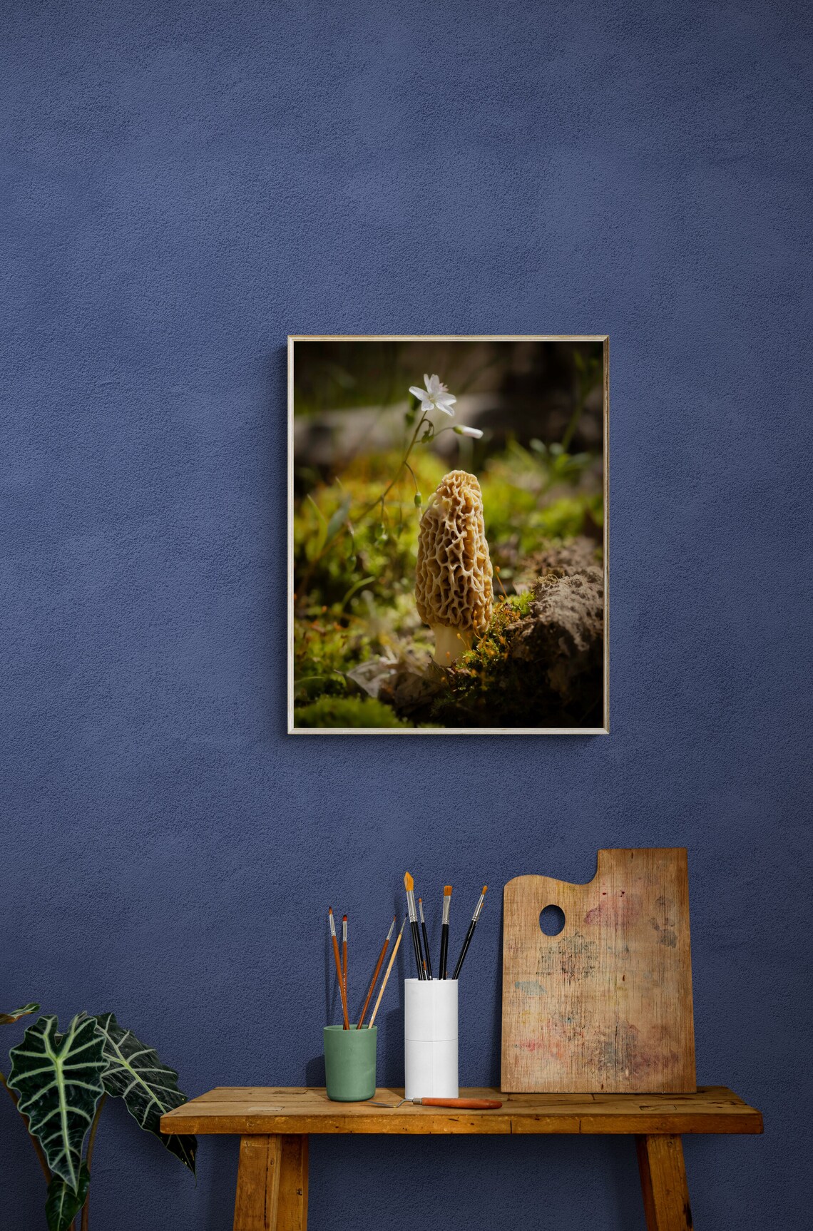 Morel Mushroom With Moss and Spring Beauty Flower Photographic Print - Etsy