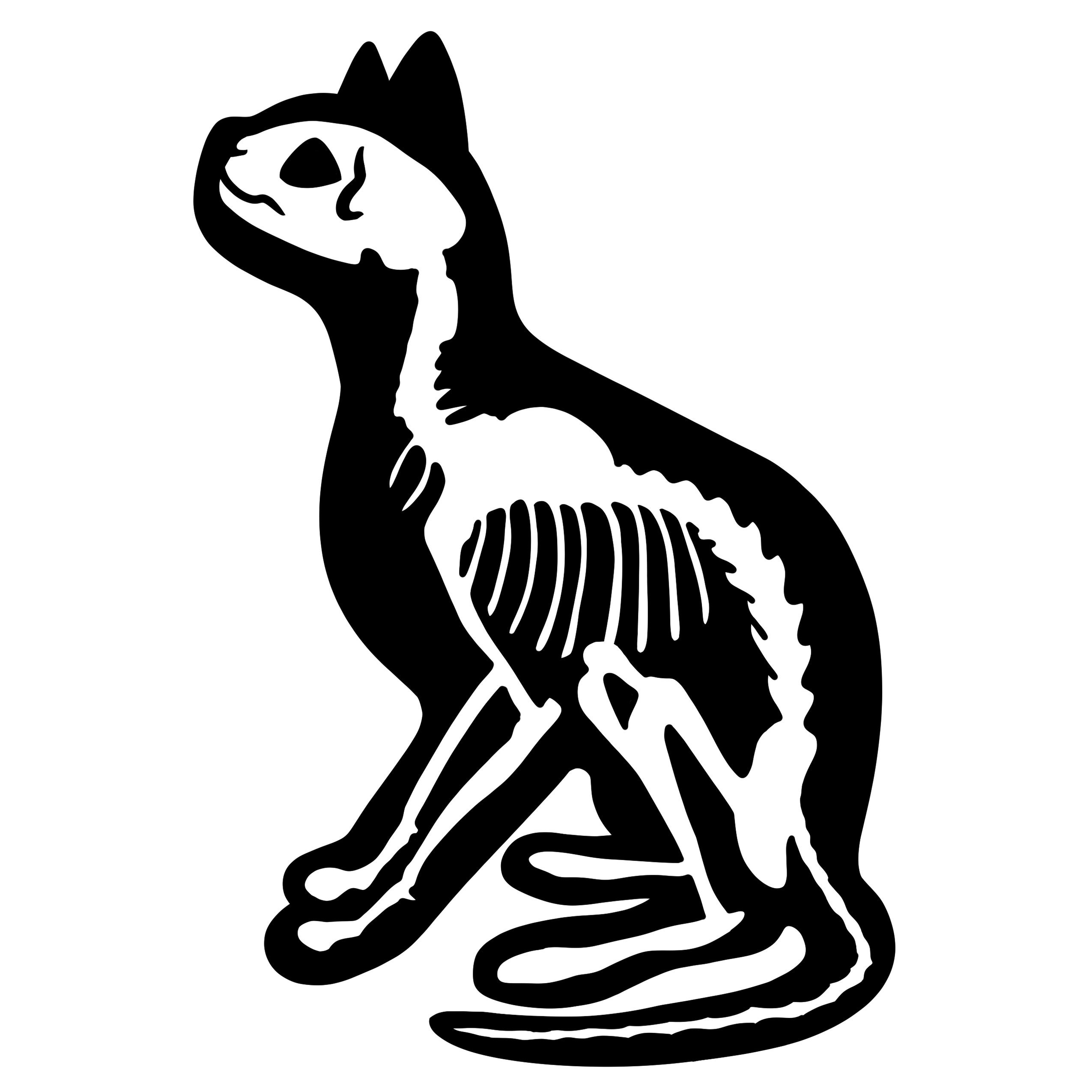Cat Skeleton Decal - Etsy