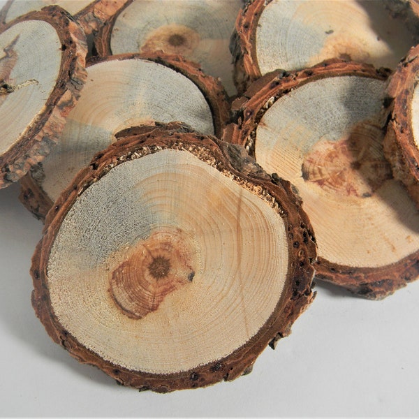 Bulk Wood Slices - Etsy