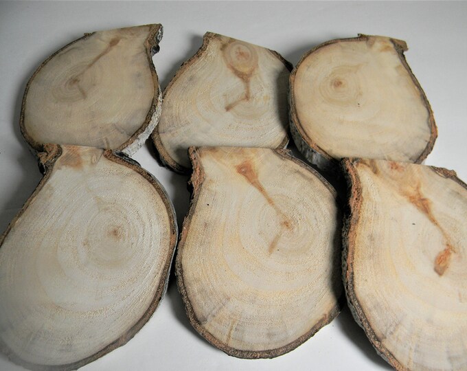 4 Birch Wood Slabs With Live Edge, Qty 6, Rustic Coasters, Blank Round ...