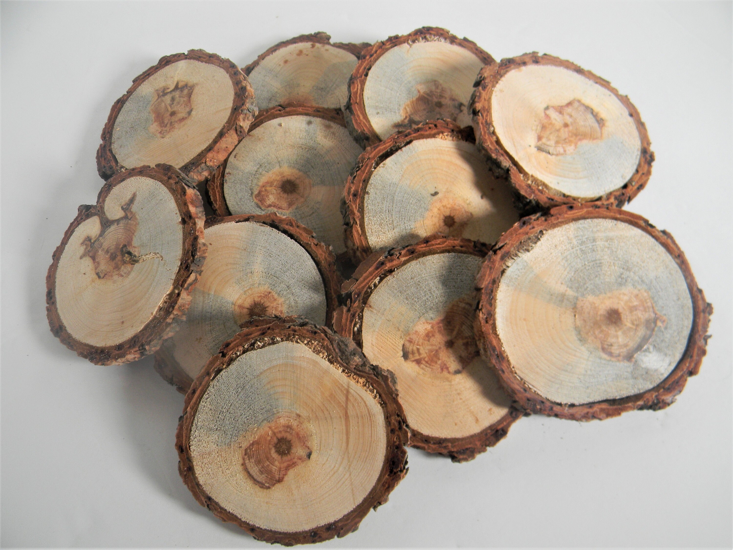 Wood Slab Coasters, Pine Wood Rounds, Ornaments for Crafting, Qty 11 ...