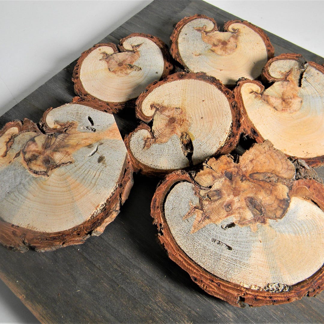 34 Pine Wood Slices With Live Edge, Set of 6, Unfinished Wood Circles ...
