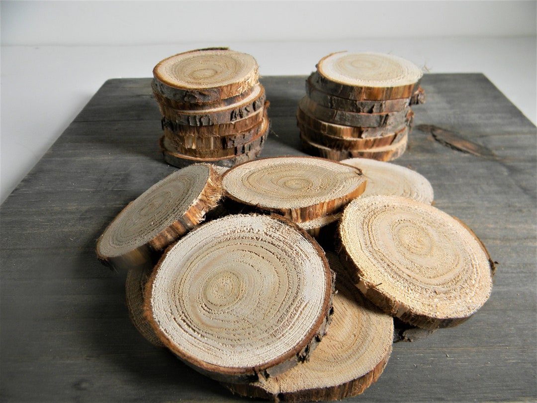 Wooden Circles Crafting Blanks Pine Log Slices Bulk Qty 23 - Etsy