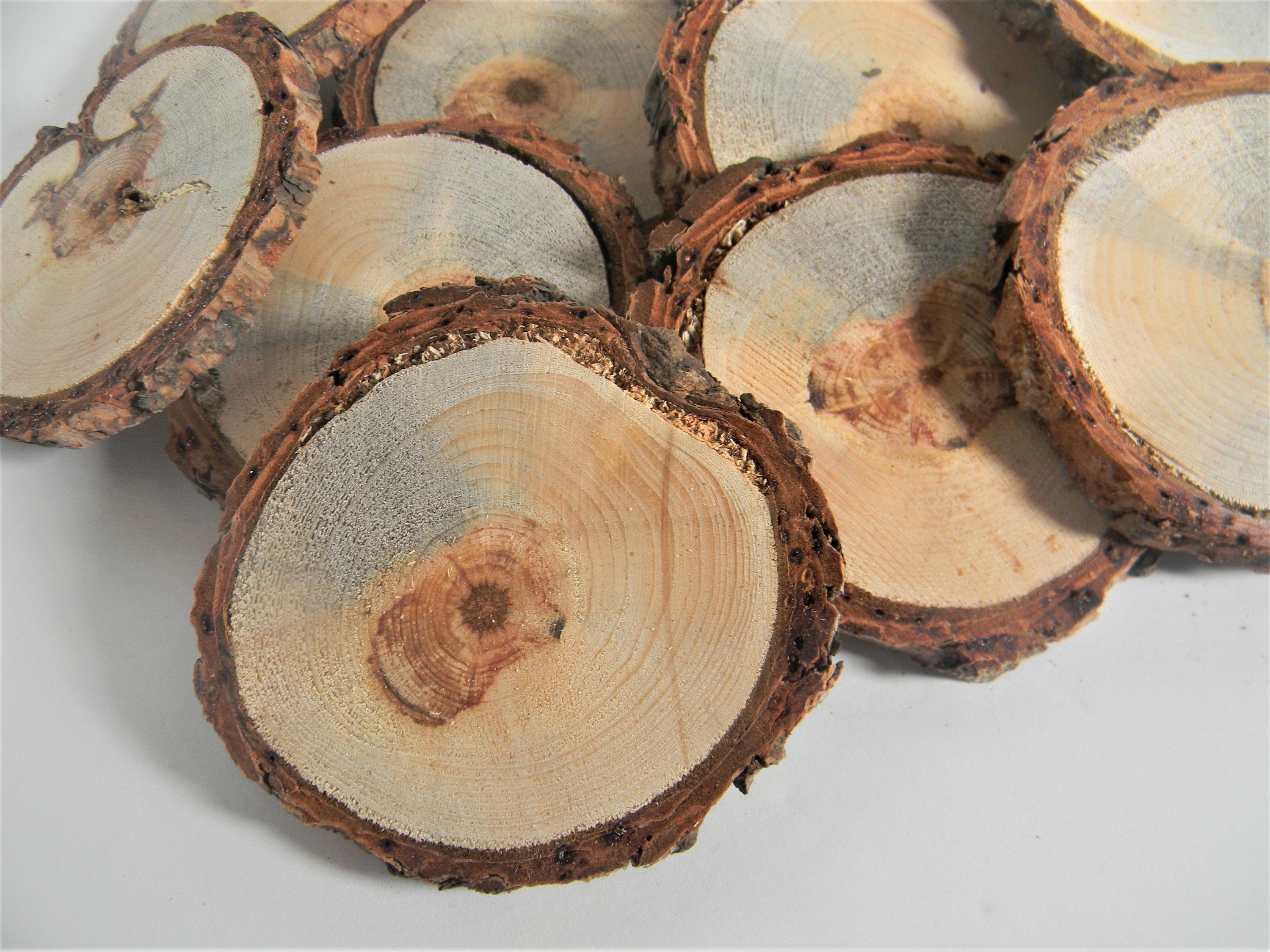 Wood Slab Coasters, Pine Wood Rounds, Ornaments for Crafting, Qty 11 ...