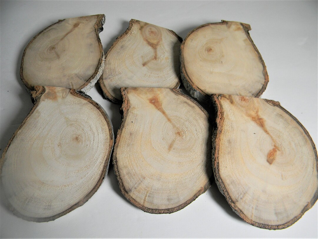 4 Birch Wood Slabs With Live Edge Qty 6 Rustic - Etsy