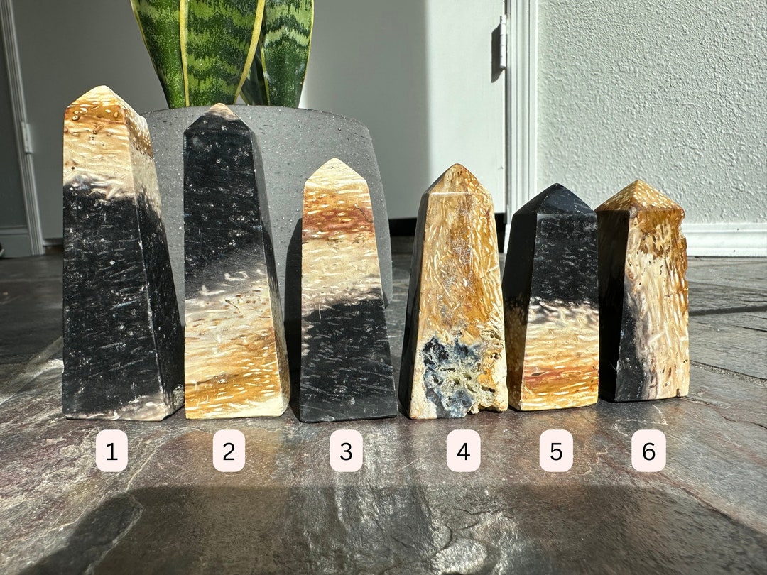 Fossilized Palm Root Towers - Etsy